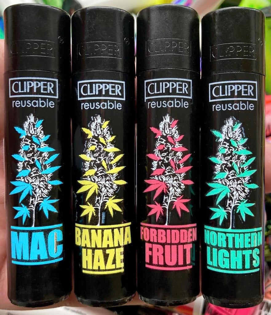 CLIPPER PLANTZ #7 – Gargaland